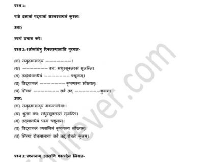 CBSE Class 8th Sanskrit Ruchira NCERT Solutions in PDF