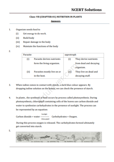 CBSE Class 7 Science NCERT Solution in PDF
