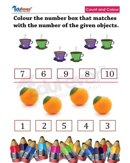 Class LKG - Count and Color Worksheets in PDF For Kindergarten