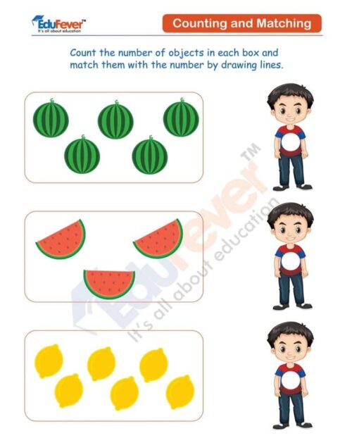 Class UKG - Count the Object & Match with the Number Math's Worksheet