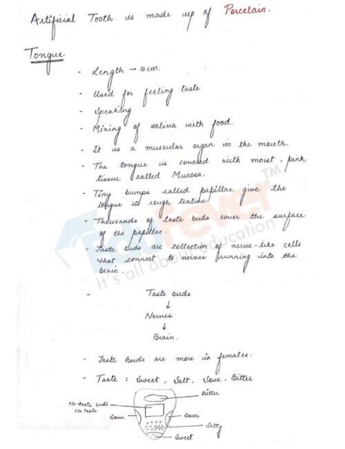 Digestive System Hand Written Notes for Neet Entrance Exam