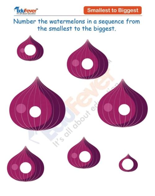 Class UKG - No. the Objects from Smallest to Biggest Worksheets in PDF