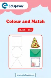 Class LKG - Colour and Match Worksheets in PDF For Kindergarten