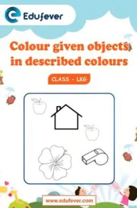 Class LKG - Color Given Objects in Described Colors Worksheets in PDF