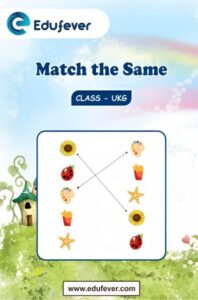 Class UKG - Match the Same Math's Worksheets in PDF For Kindergarten