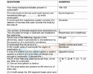 Earthworm & Cockroach Revision Notes for NEET Entrance Exam