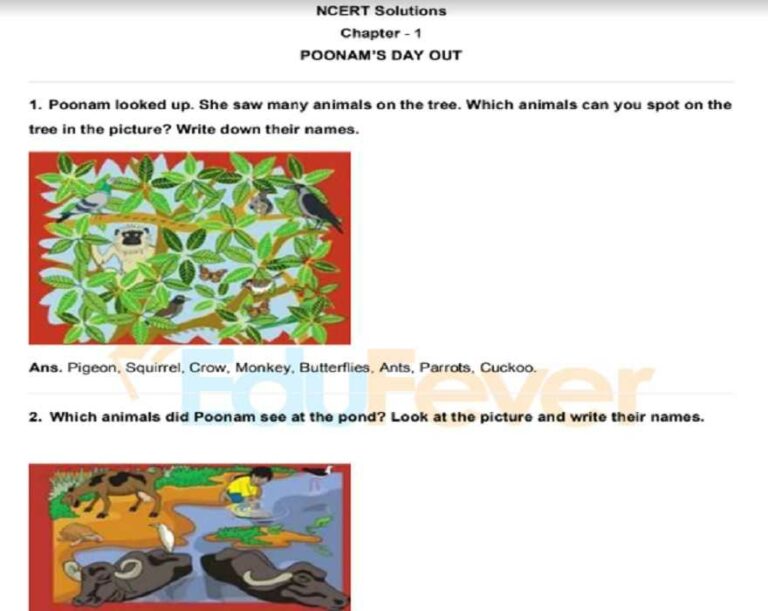 CBSE Class 3 EVS Looking Around NCERT Solutions