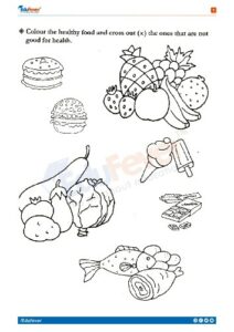 CBSE Class 1 EVS Printable Worksheet in PDF