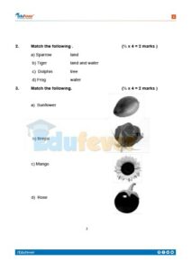 CBSE Class 1 EVS Sample Paper in PDF