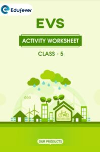 CBSE Class 5 EVS Activity Worksheets