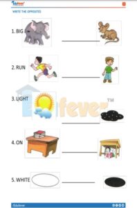 CBSE Class 1 English Activity Worksheet in PDF