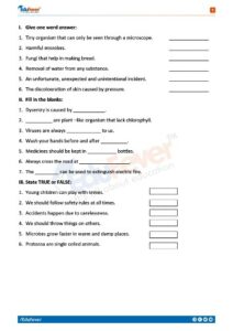 CBSE Class 4 Science Printable Worksheet in PDF