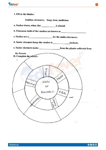 Free Download CBSE Class 5 EVS Practice Worksheet