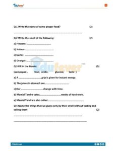 Free Download CBSE Class 5 EVS Worksheet