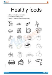 CBSE Class 1 EVS Activity Worksheet in PDF