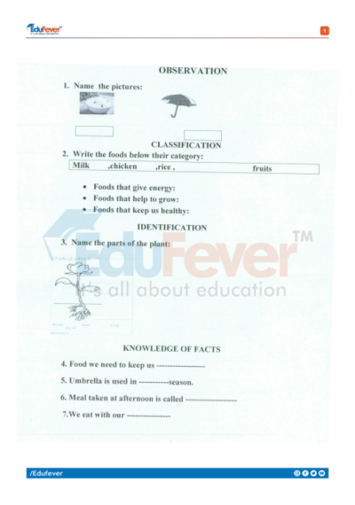 CBSE Class 1 EVS Question Bank in PDF