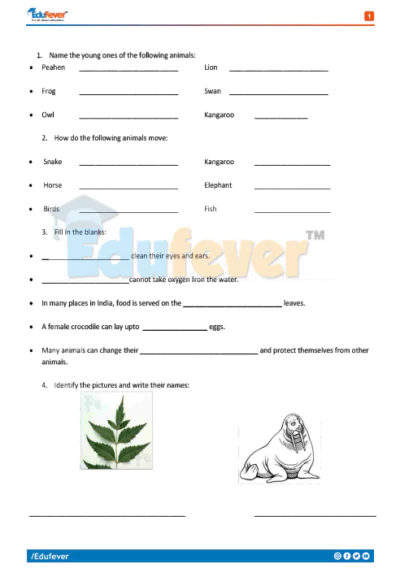 CBSE Class 2 GK Printable Worksheet in PDF