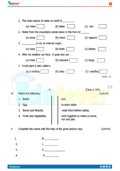 CBSE Class 2 EVS Sample Paper in PDF