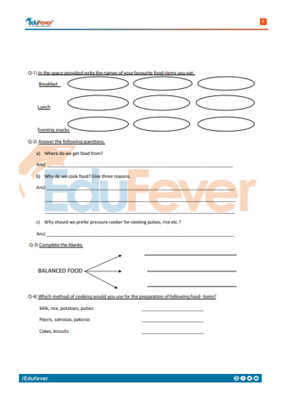 CBSE Class 3 EVS Activity Worksheet in PDF