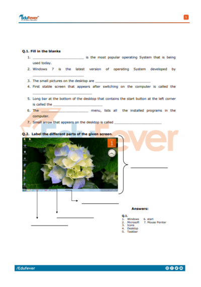 CBSE Class 3 Computer Activity Worksheet in PDF