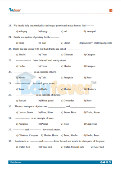 CBSE Class 3 Social Science Activity Worksheet