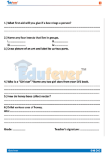 CBSE Class 4 EVS Activity Worksheet