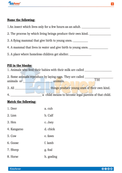 CBSE Class 4 EVS Printable Worksheet in PDF