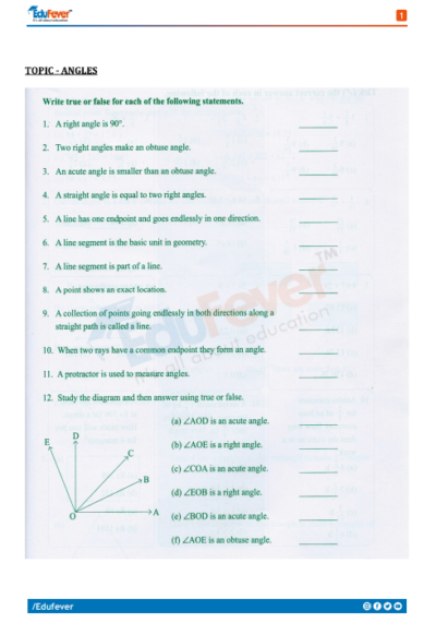 CBSE Class 5 Maths Activity Worksheets