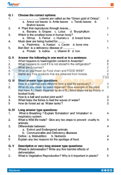 CBSE Class 5 Science Revision Worksheet