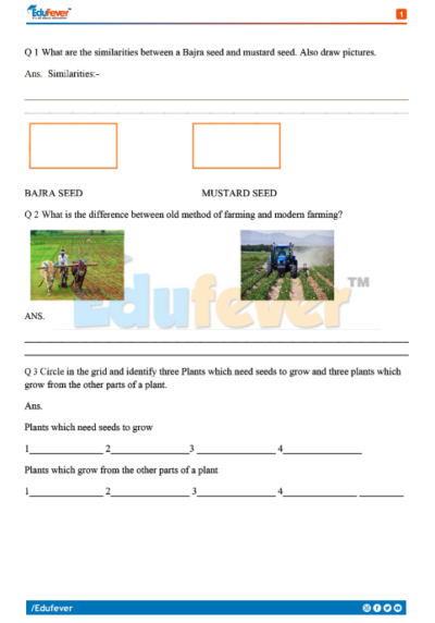 CBSE Class 5 EVS Revision Worksheet