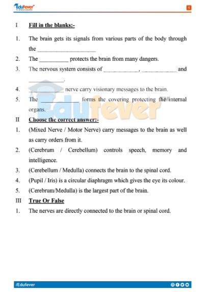 CBSE Class 5 Science Printable Worksheet