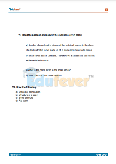 CBSE Class 5 Science Holiday Homework