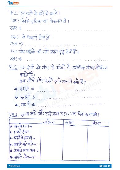 CBSE Class 3 Hindi सबसे अच्छा पेड़ Worksheet with Solutions