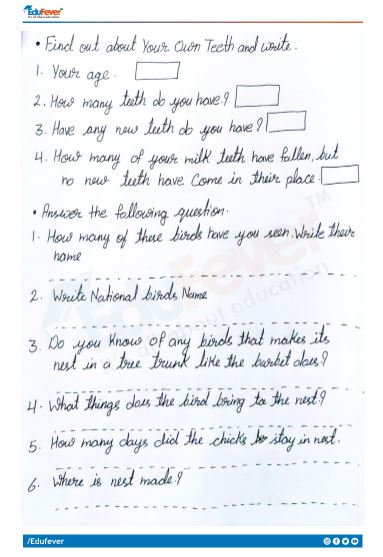 Buy Class 4 EVS A Busy Month Worksheet with Solutions