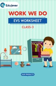 CBSE Class 3 EVS Work We Do Worksheet with Solutions