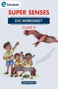 CBSE Class 5 EVS Super Senses Worksheet with Solutions