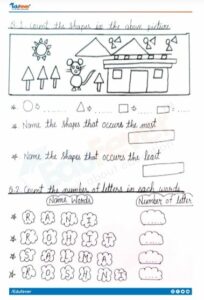 Class 1 Math Data Handling Worksheet with Solution