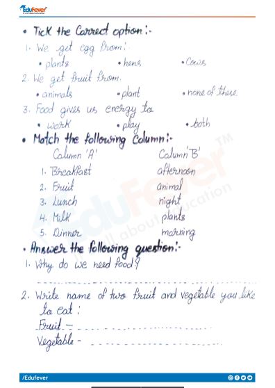 Buy Class 1 EVS Food Worksheet with Solution at low Price