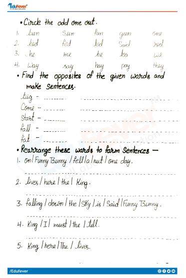 Buy Class 2 English Funny Bunny Worksheet with Solutions