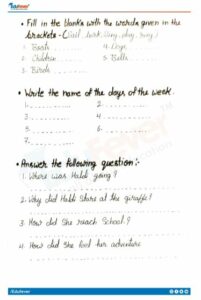 CBSE Class 2 English Haldi's Adventure Worksheet with Solutions
