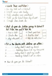 CBSE Class 2 English Haldi's Adventure Worksheet with Solutions