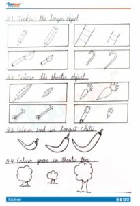Class 1 Math Measurement Worksheet with Solution
