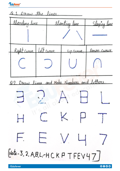 CBSE Class 2 Math Lines and Lines Worksheet with Solutions