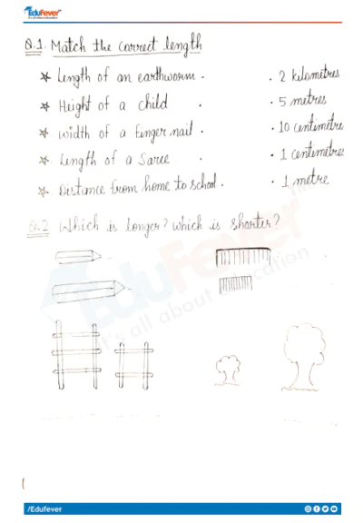 CBSE Class 3 Math Long and Short Worksheet with Solutions