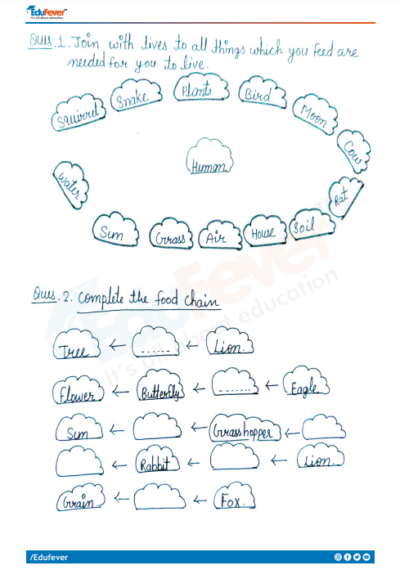 CBSE Class 3 EVS Web Of Life Worksheet with Solutions