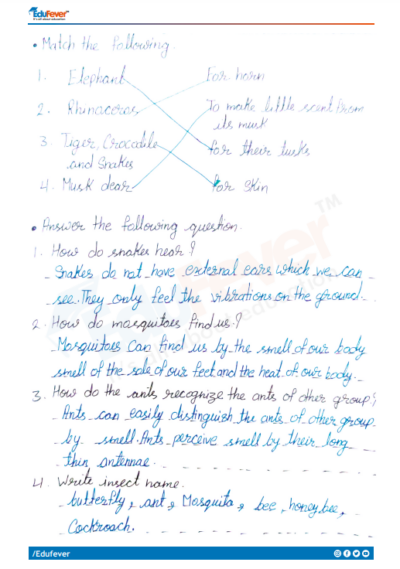 CBSE Class 5 EVS Super Senses Worksheet with Solutions