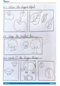 Class 1 Math Shapes And Space Worksheet with Solution