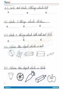 Buy Class 2 Math What is Long, What is Round Worksheet