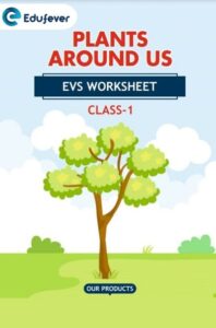 Class 1 EVS Plant Around Us Worksheet with Solution