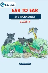 CBSE Class 4 EVS Ear to Ear Worksheet with Solutions